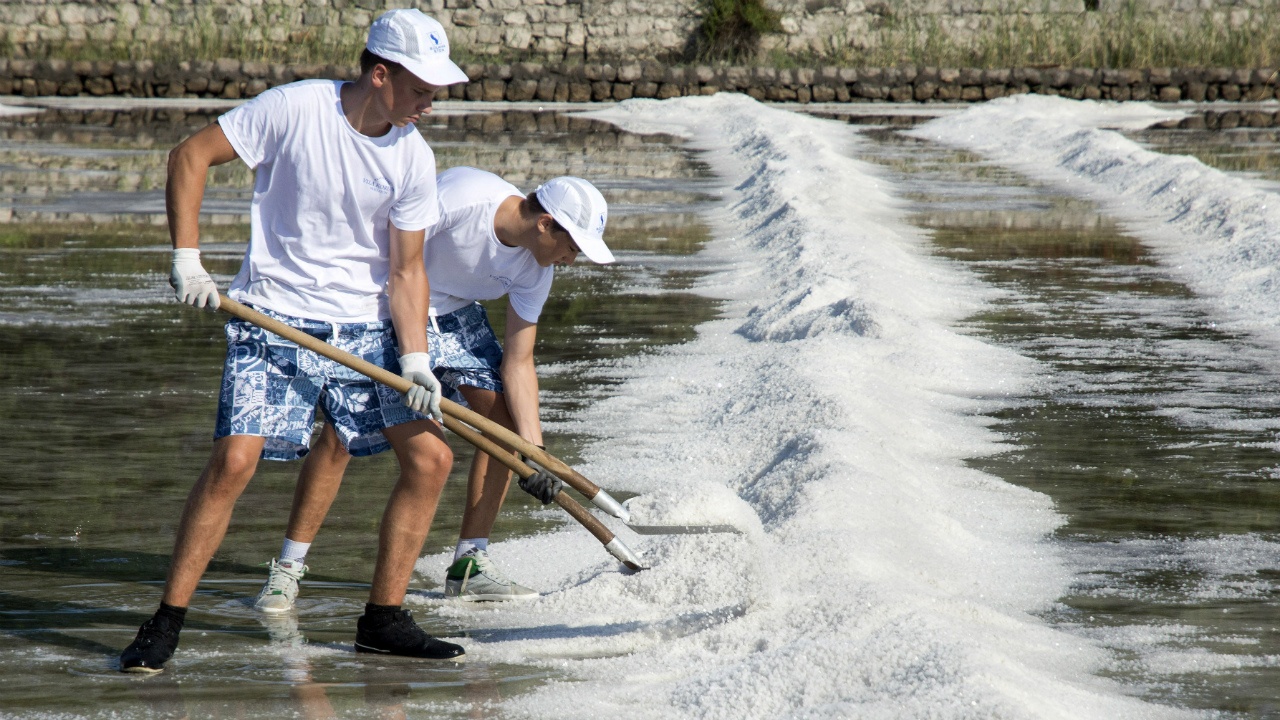 Ston: Počela berba soli u najstarijoj solani u Evropi | Boka News